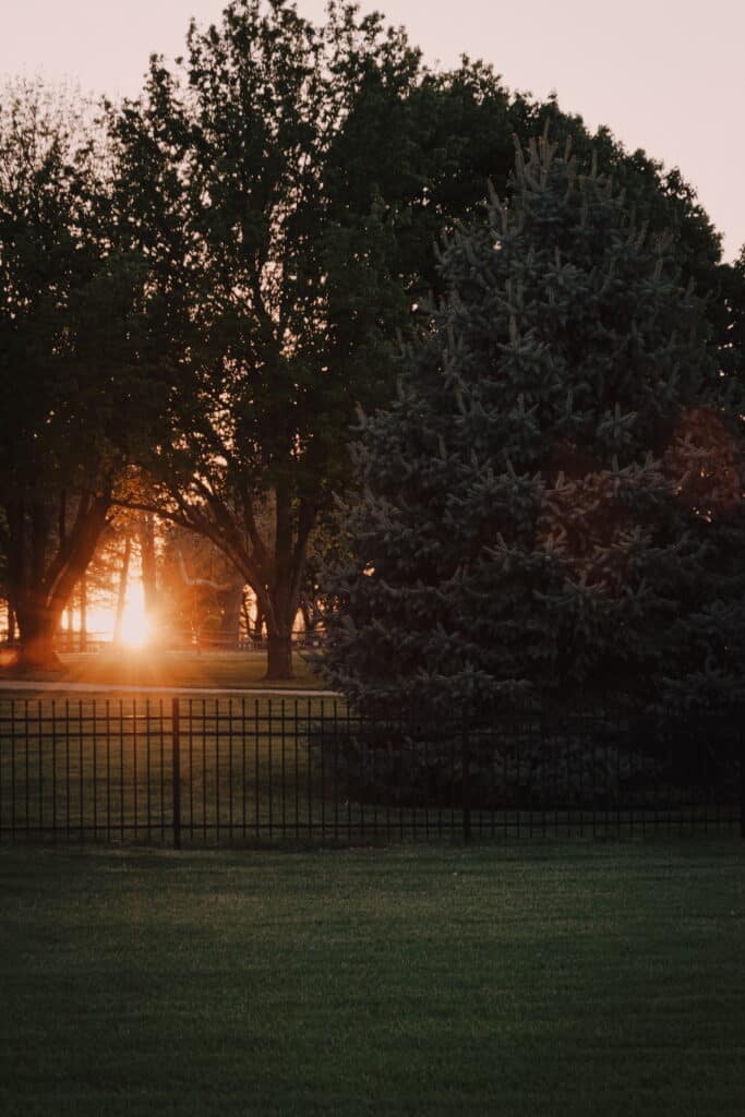 Home - Cole Fence | Professional Fence Company